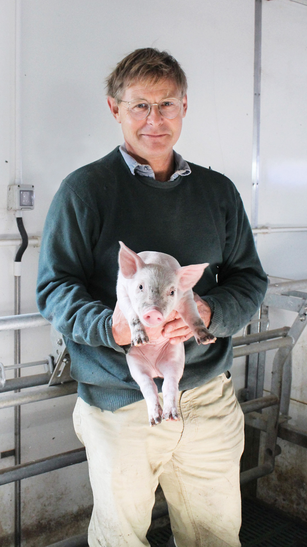 Free farrowing – The future of British pig production? - THE FURROW