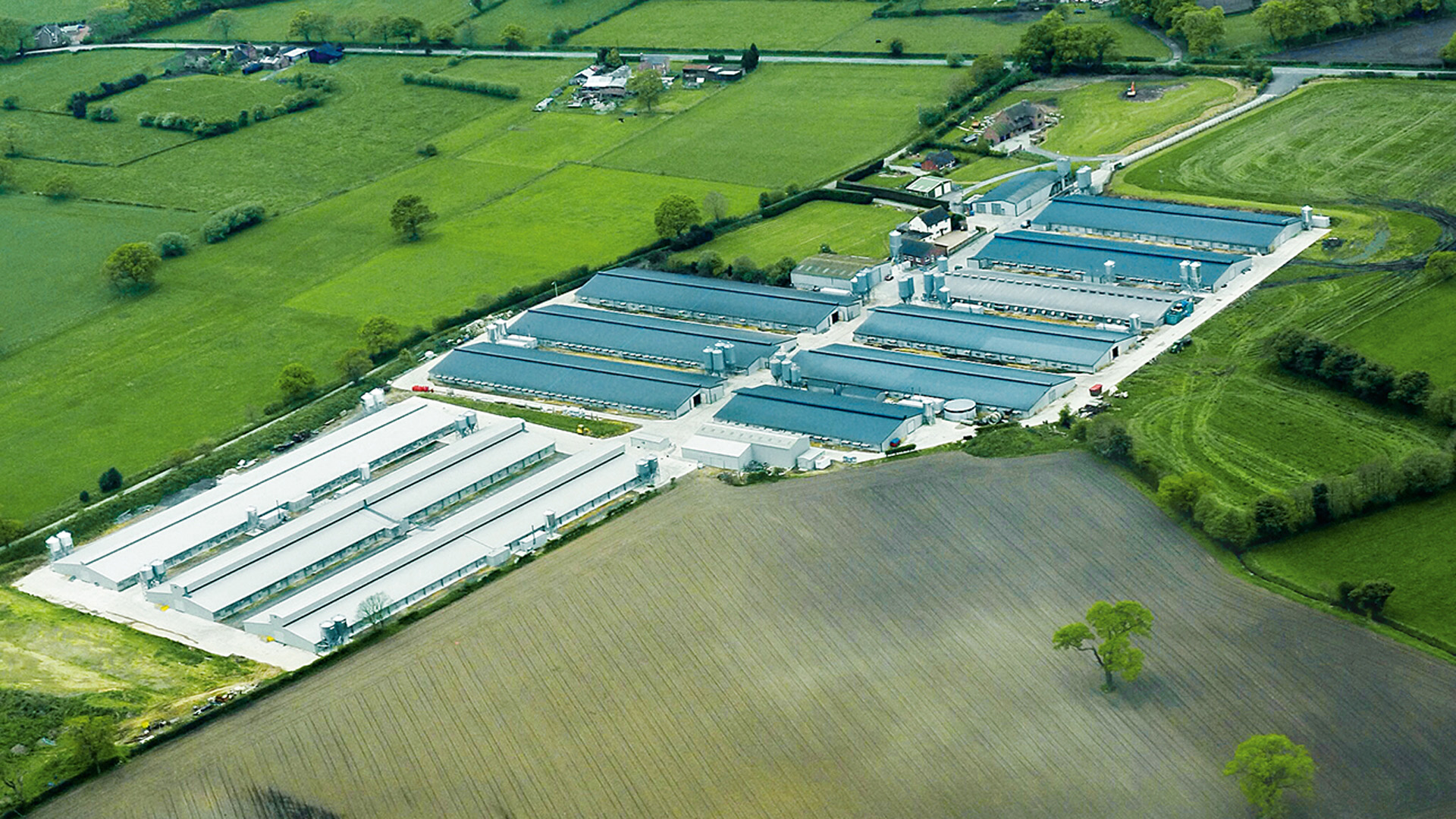 Poultry farmers lead the way in antibiotic reduction - THE FURROW