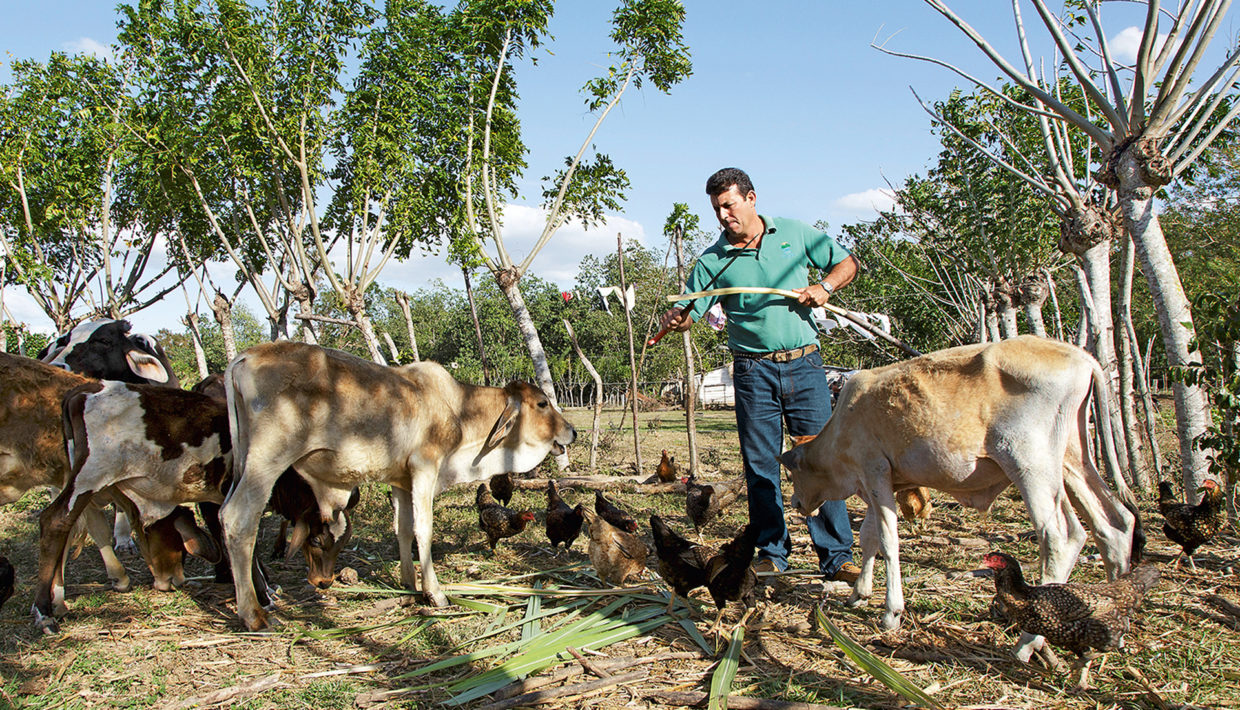 Farmers help to shape Cuba´s Future - THE FURROW