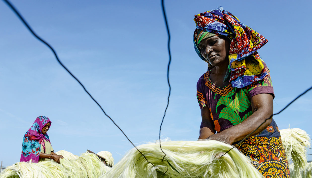 A Comeback in East Africa - THE FURROW