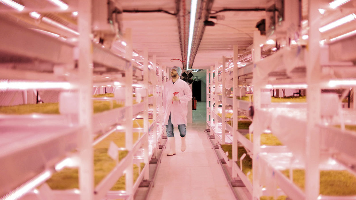 Growing Deeper Underground - THE FURROW