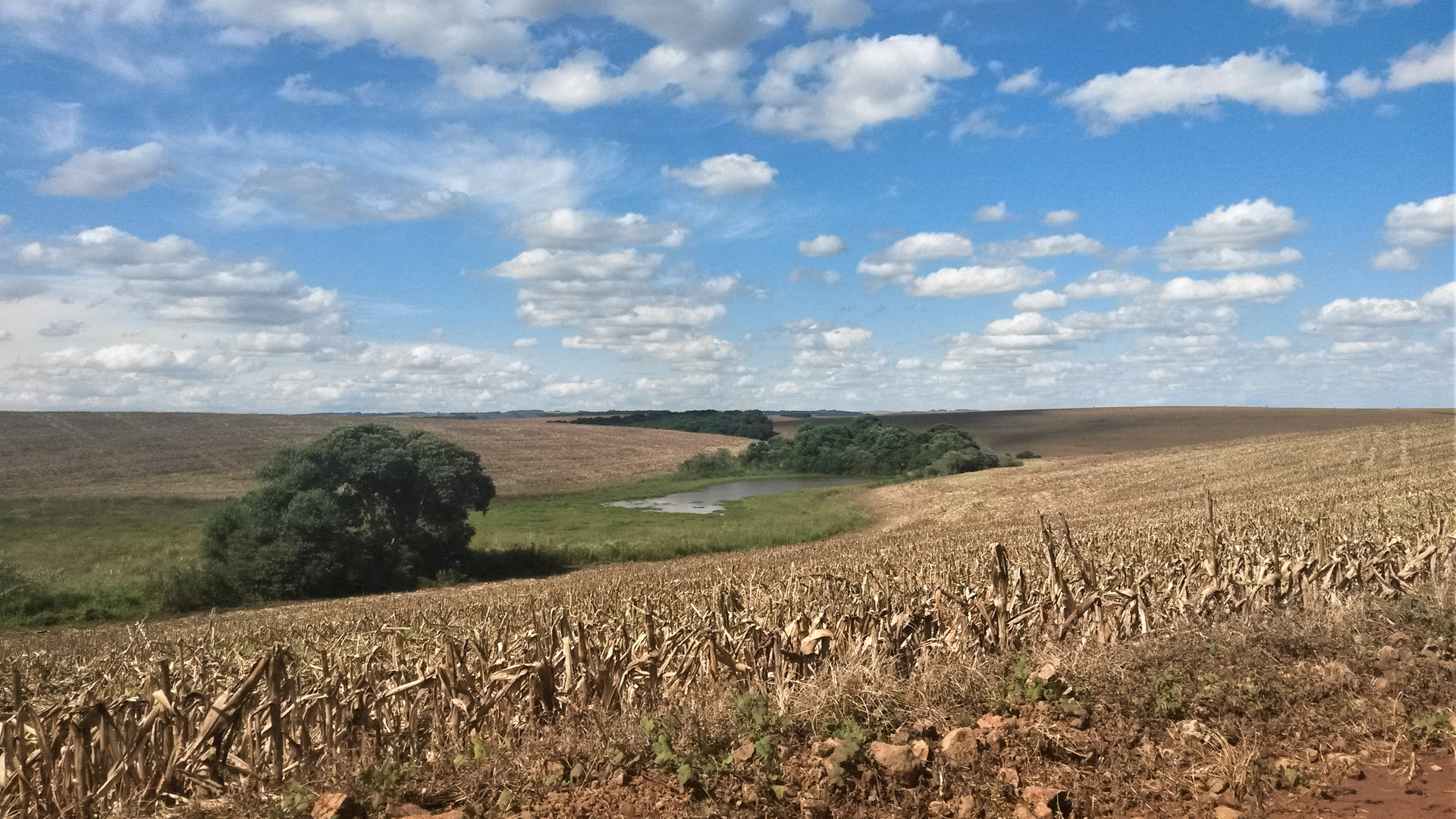 Brazilian farmers aim for sustainability - THE FURROW
