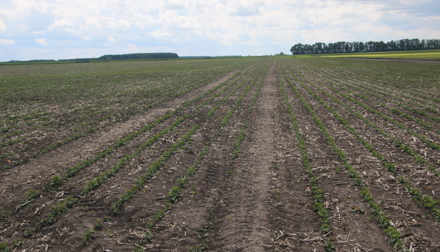 Controlled Traffic Farming is a win! - THE FURROW