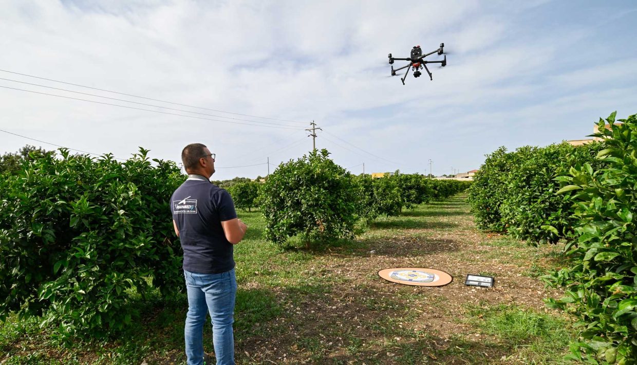 Drones in citrus groves - THE FURROW