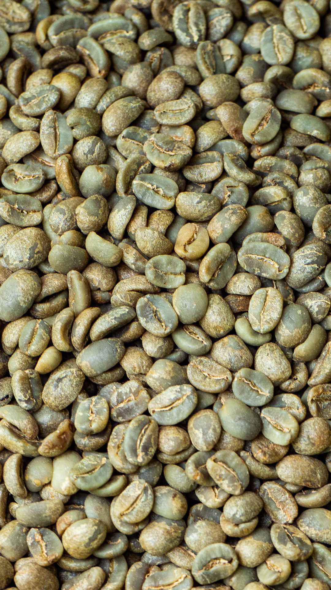 Sustainable coffee: Made in Vietnam - THE FURROW