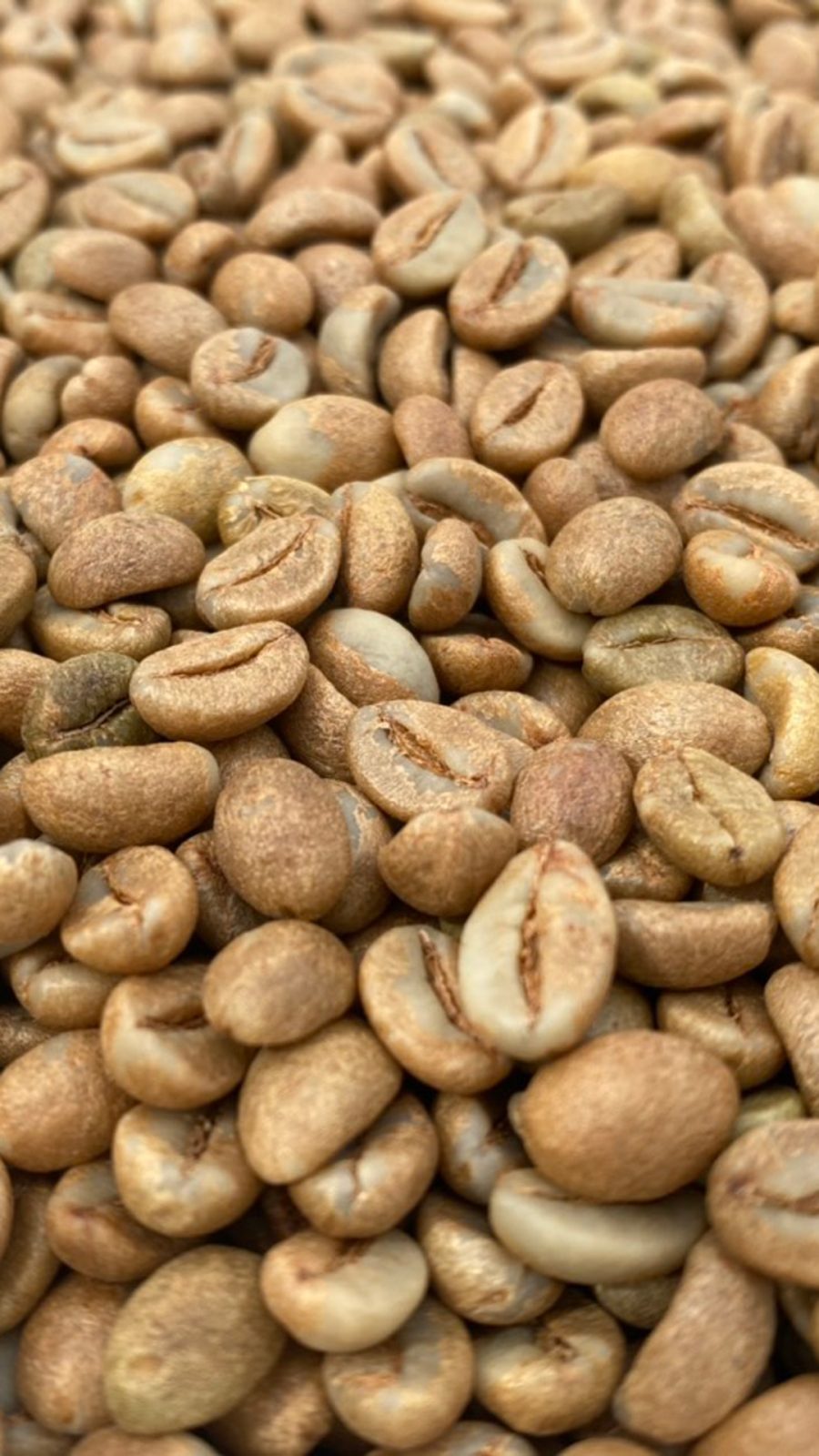Sustainable coffee: Made in Vietnam - THE FURROW