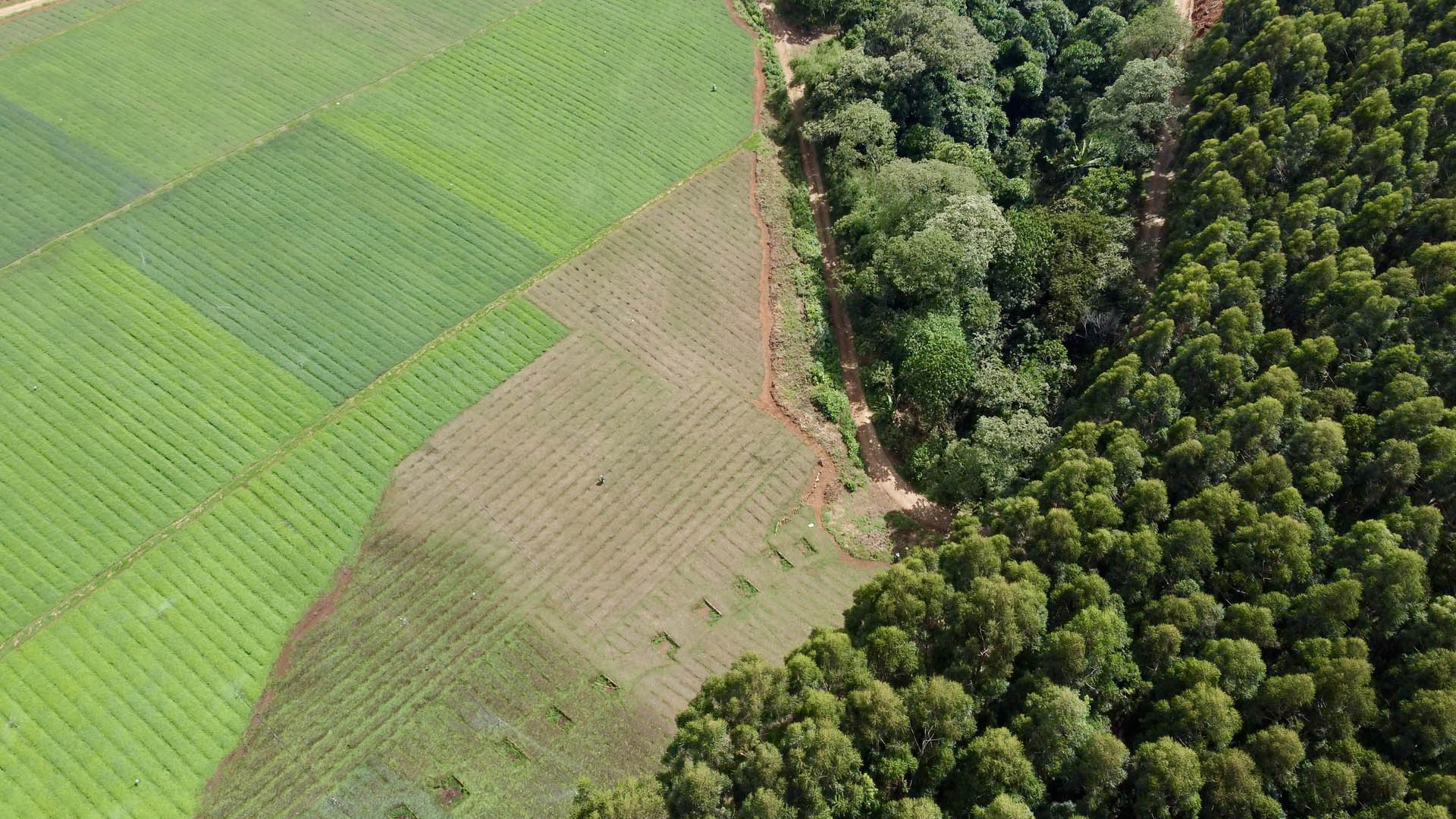 Unlocking Water Management Secrets in Regenerative Agriculture - THE FURROW