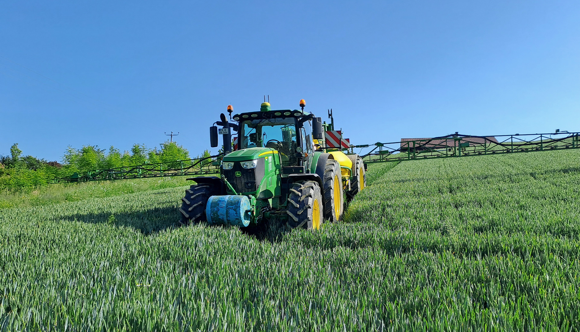 Healthy wheat with less fungicides - THE FURROW