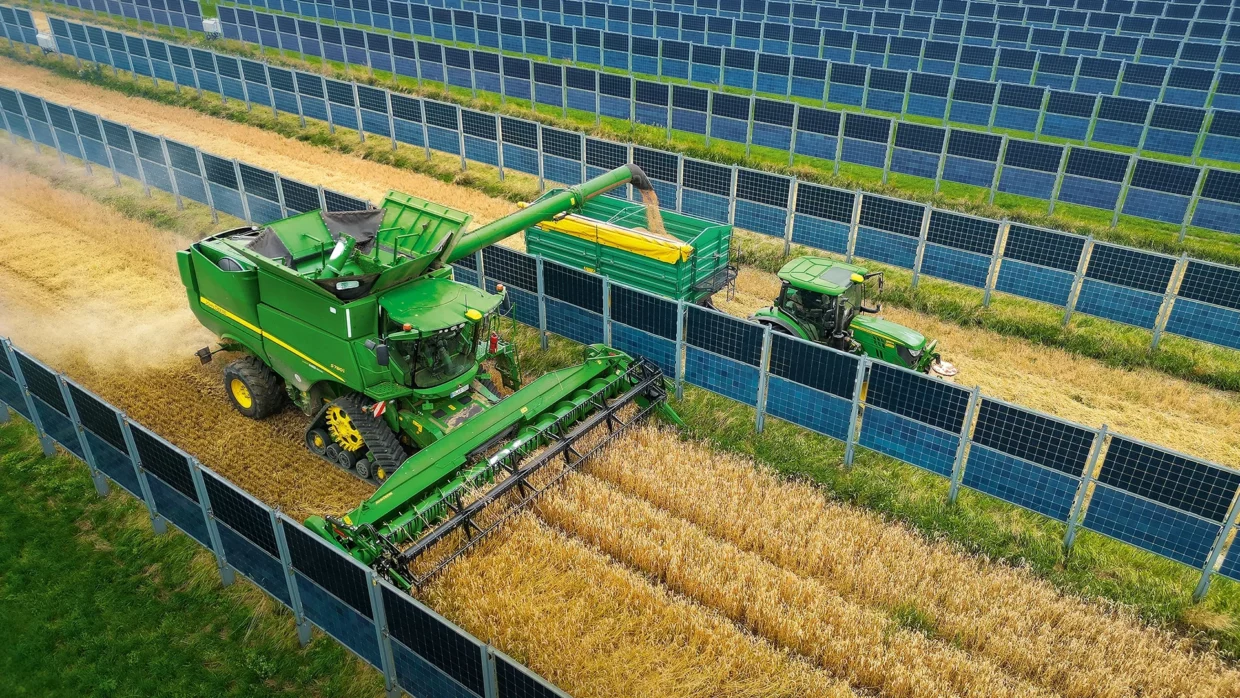 Agrivoltaics: How does it impact crop yield? - THE FURROW